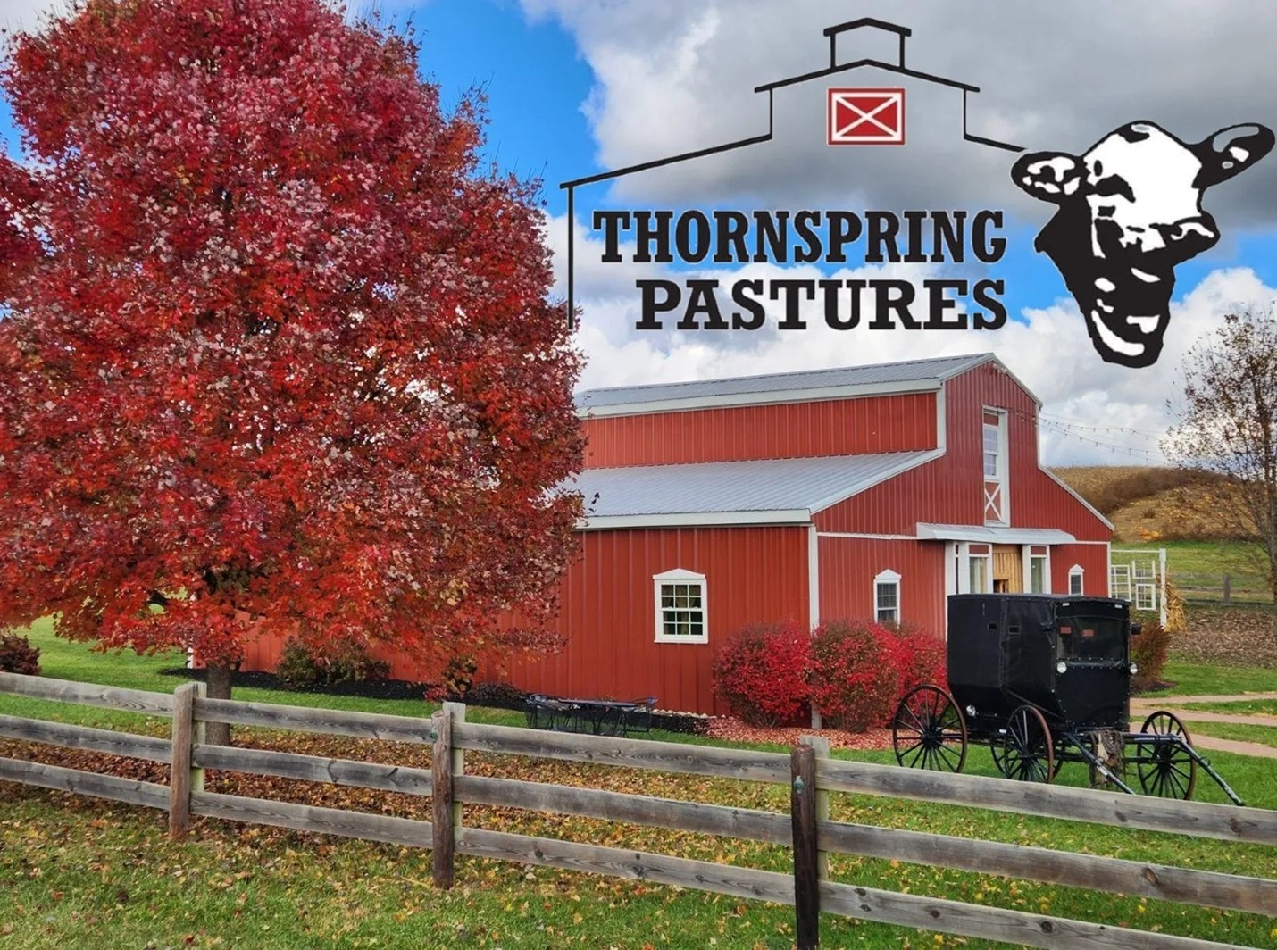 Adventures in the New River Valley: Thornspring Pastures Farm Fest 2024 ...